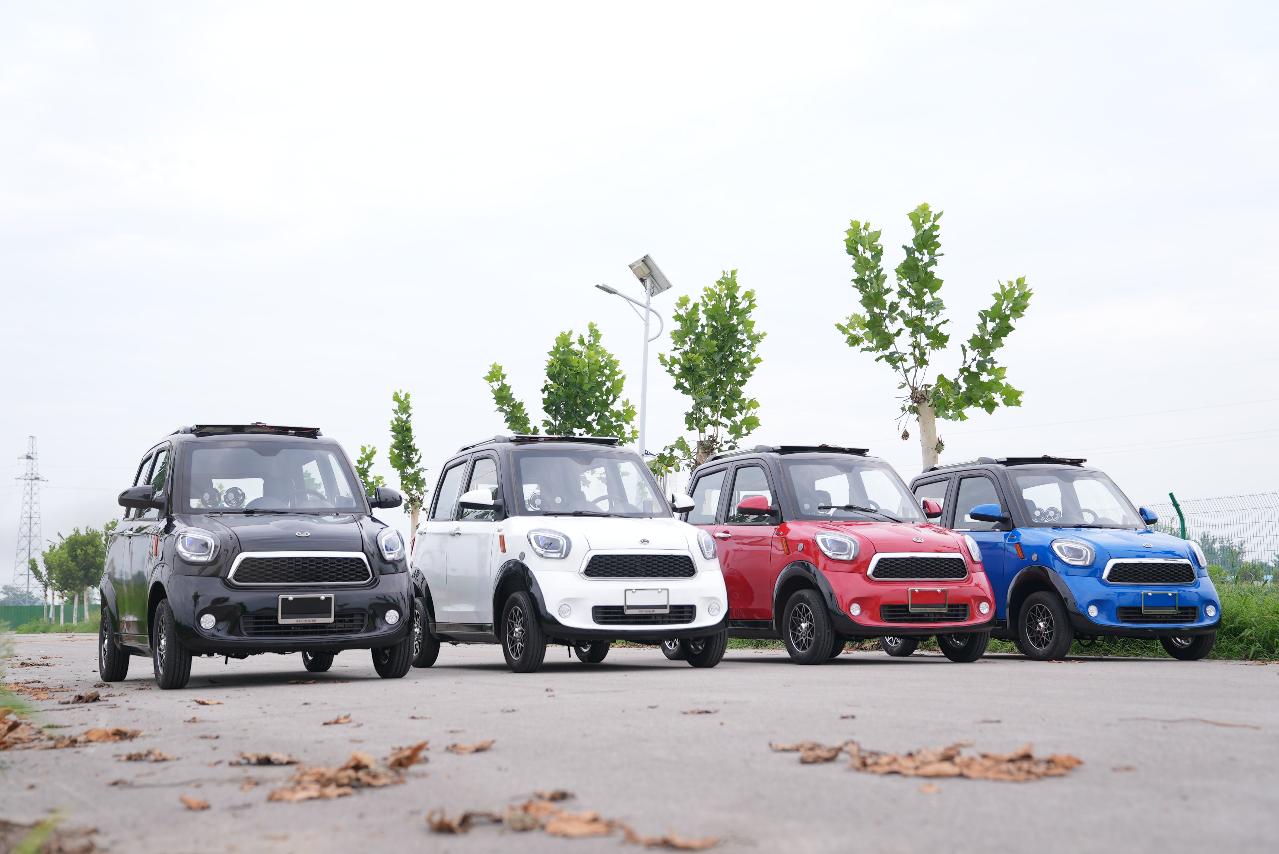 Why Low Speed Electric Vehicles?