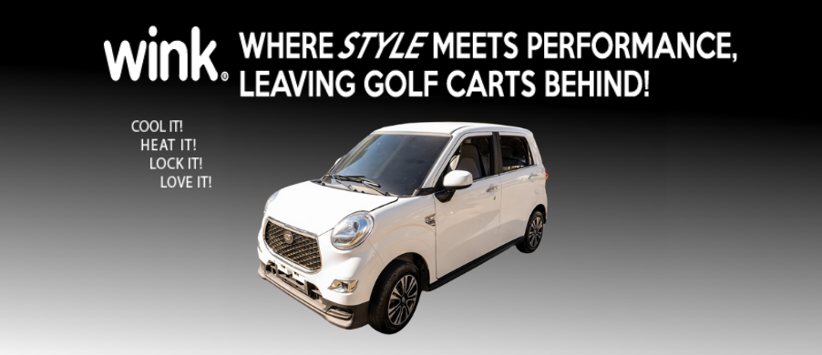 Wink Motors Inc.
