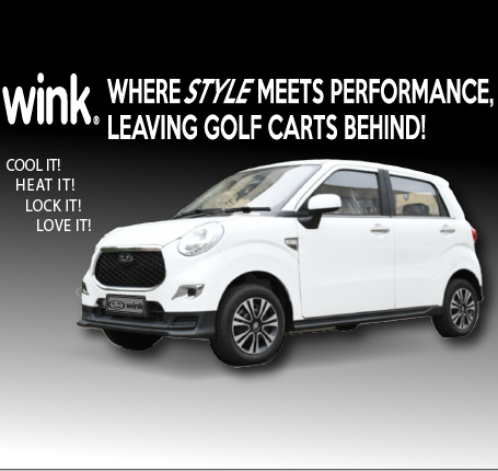 Wink Motors Inc.