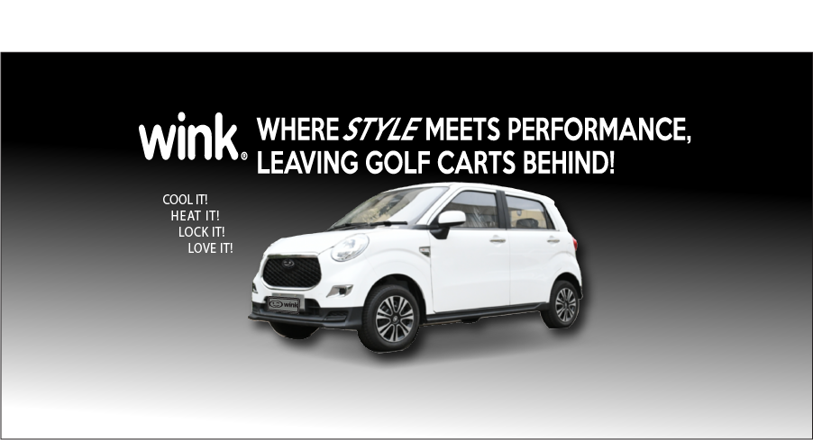 Wink Motors Inc.