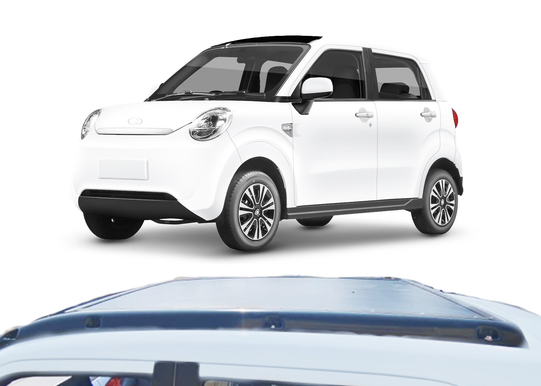 Wink Motors Inc.